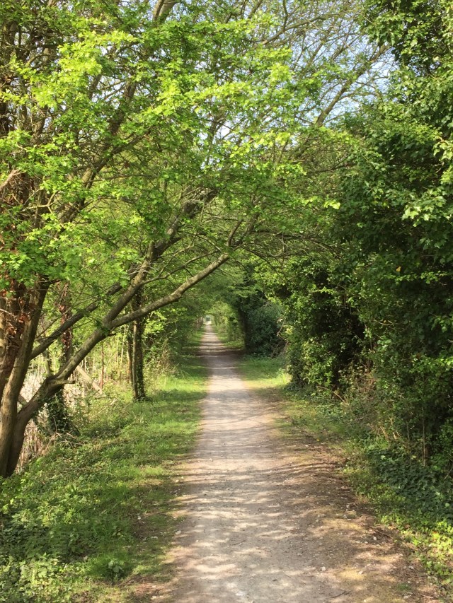 Electric Bikes And Ballpoint Pens – Writing And So On